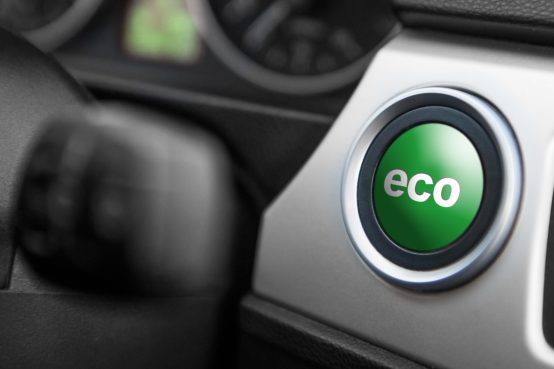 ECO: economia ou ecologia?