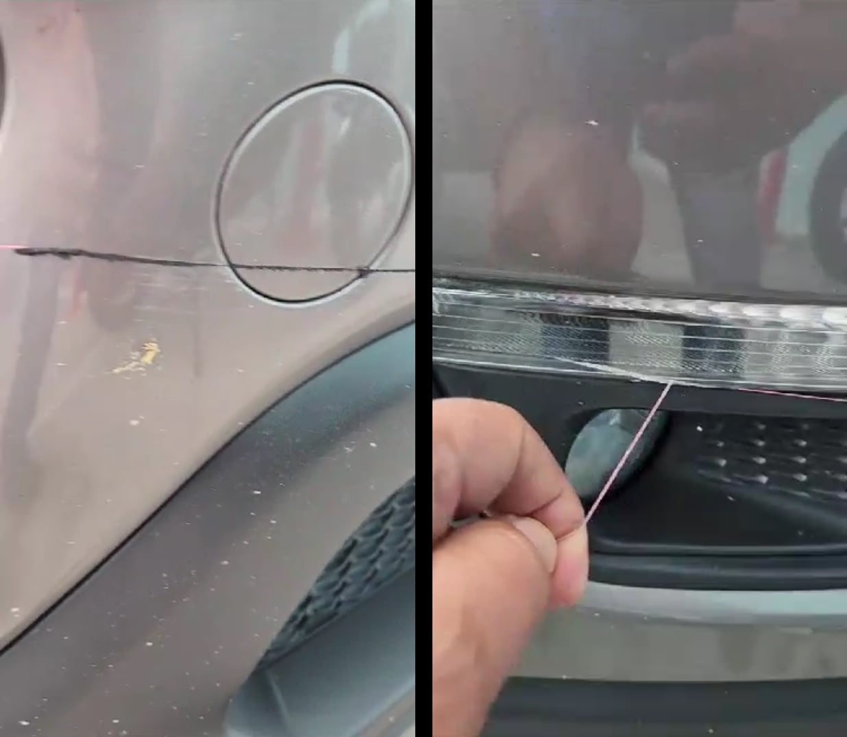 Out and about photos