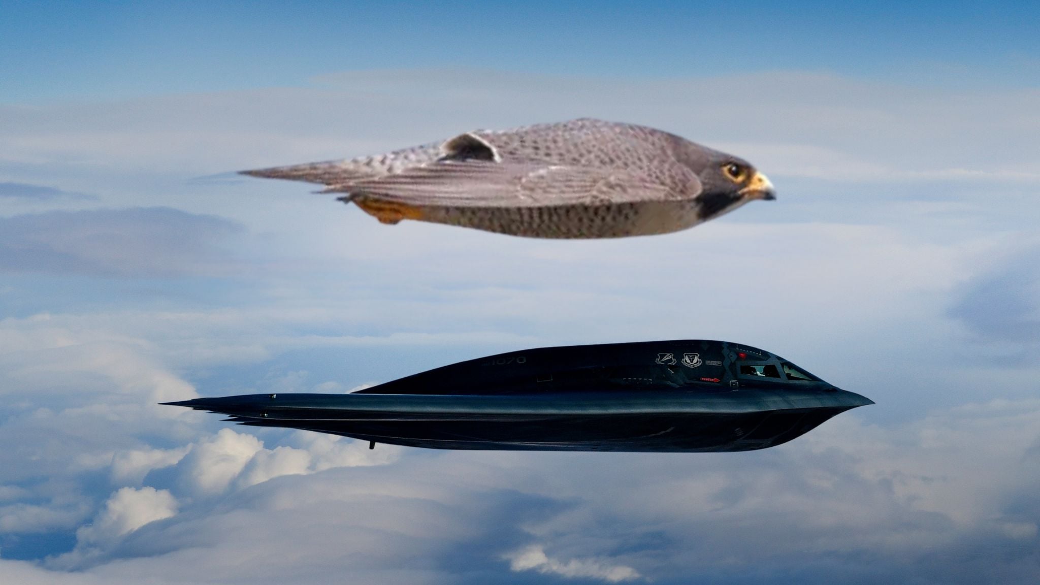 Avião B-2, de ação no Irã, é inspirado em pássaro e 'pilotado por CPU'