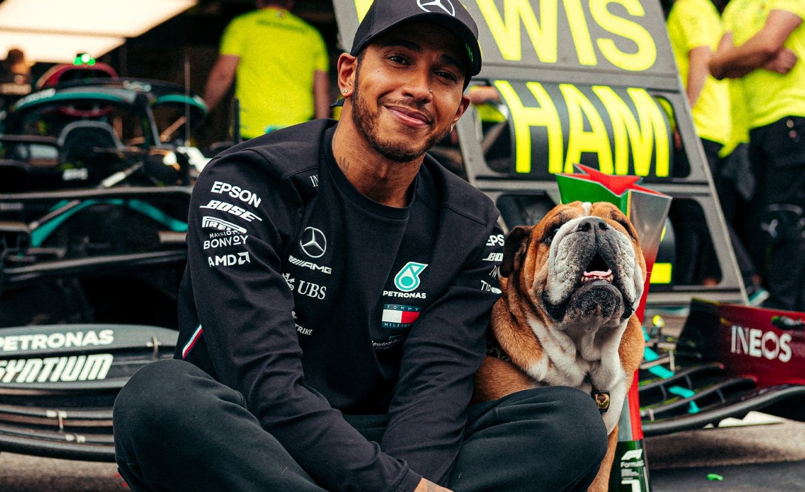 Lewis Hamilton anuncia a morte de seu buldogue Roscoe, estrela do ...