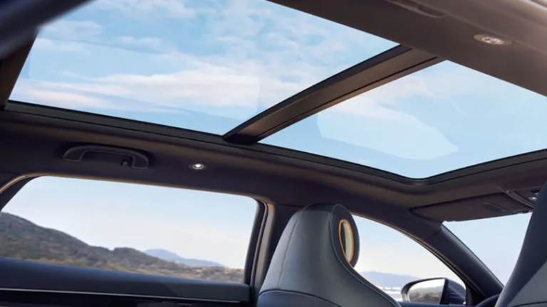 Teto solar: BYD têm proteção rompida e passageira se fere